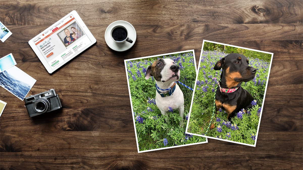 Custom Oil Painting | Turn Photos into Oil Portraits [Free Shipping]