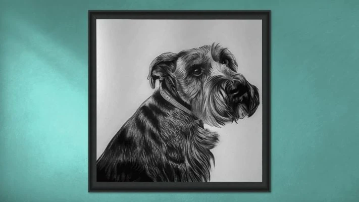 Dog Charcoal Portraits | Photo to Custom Dog Charcoal Drawing