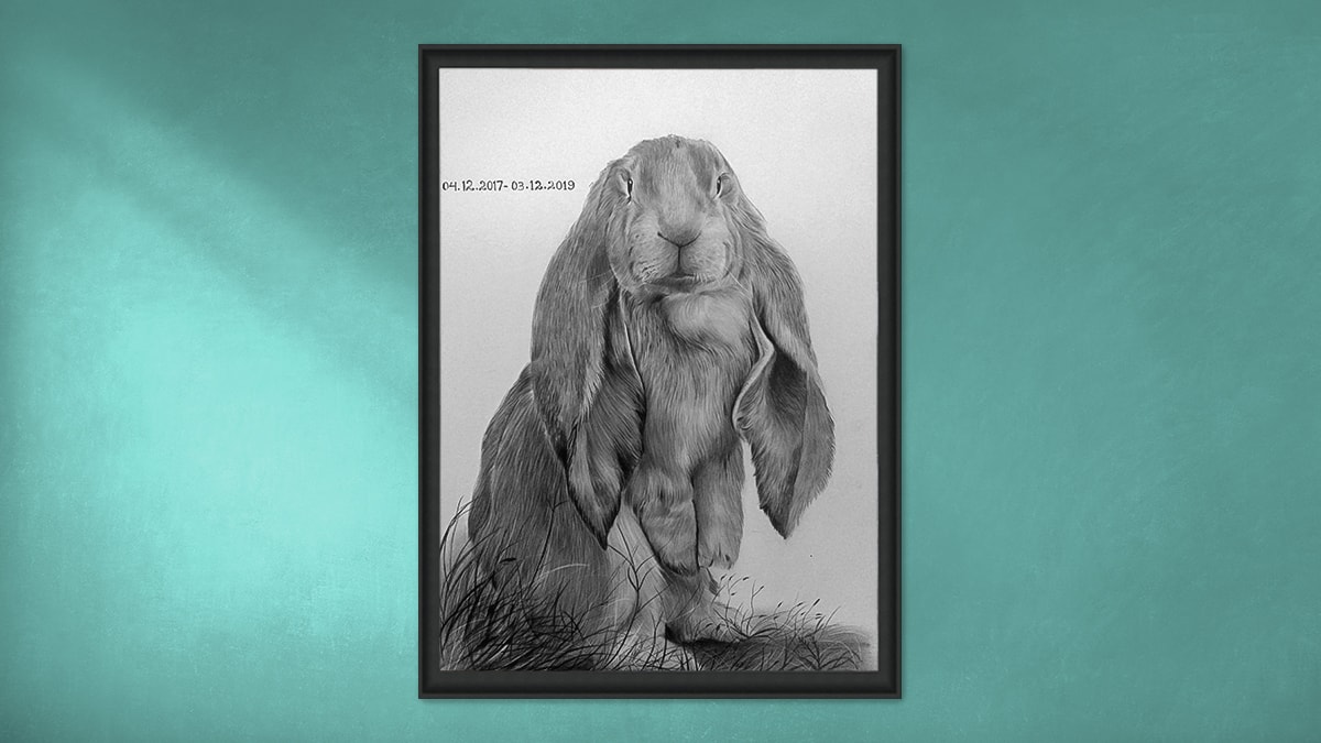 Pet Pencil Portraits | Photo to Custom Pencil Sketch [Free Shipping]