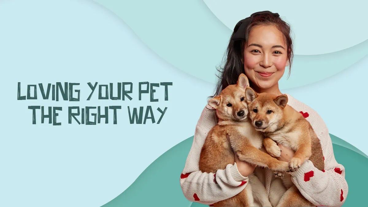 Loving Your Pet the Right Way