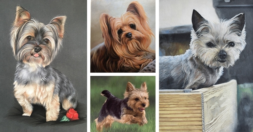 Yorkshire Terrier Portraits | Dog Painting from Photo [Free Shipping]