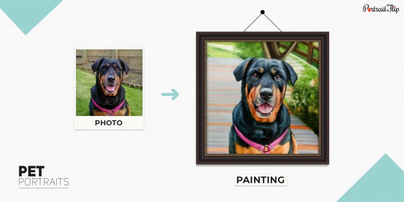 Custom Pet Portrait from Photos | Dogs, Cats, Horse | 100% Handmade
