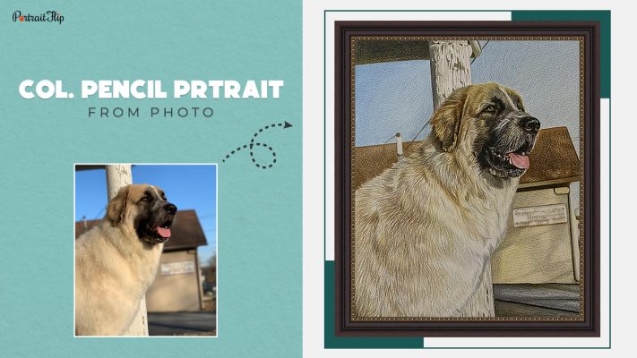 The Beauty Of Choosing The Best Medium For Your Portraits