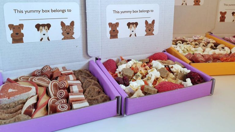 35+ DOG BIRTHDAY GIFTS: FOR A TERRIFIC NAME DAY PAW-TY
