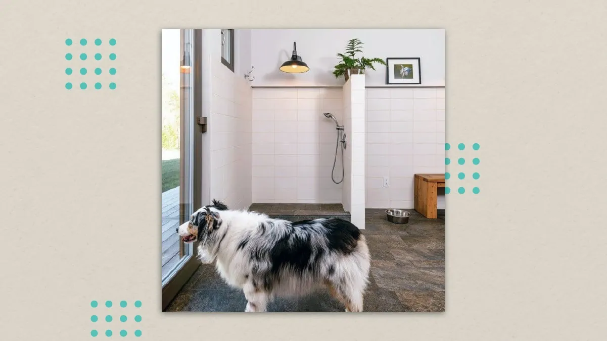 Best Dog Room Decor Design Ideas For Pet-Parents