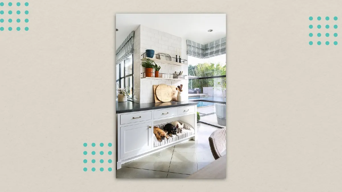 Best Dog Room Decor Design Ideas For Pet-Parents