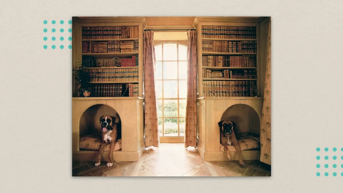 Best Dog Room Decor Design Ideas For Pet-Parents