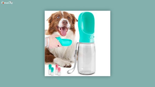 40+ Amazing Dog Birthday Gifts That'll Make Your Furry Friend Go Crazy