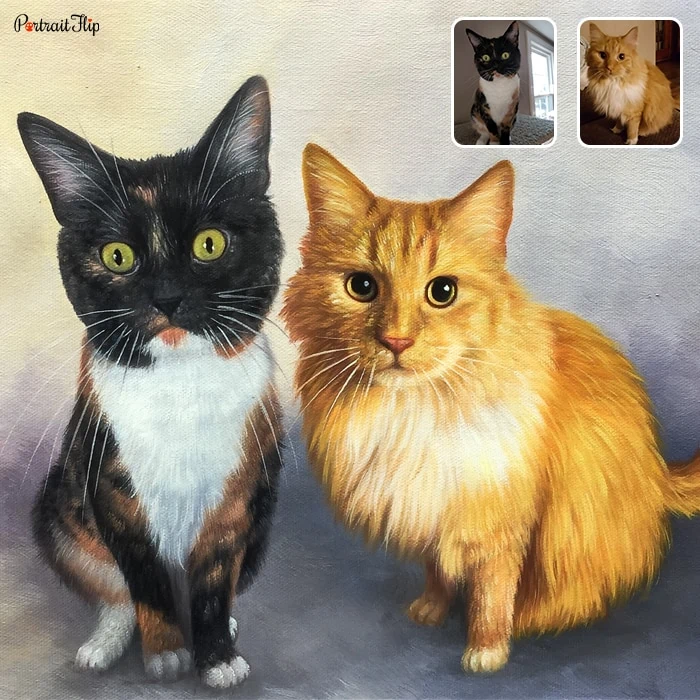 Photo to Custom Cat Portraits: Cat Paintings by PortraitFlip