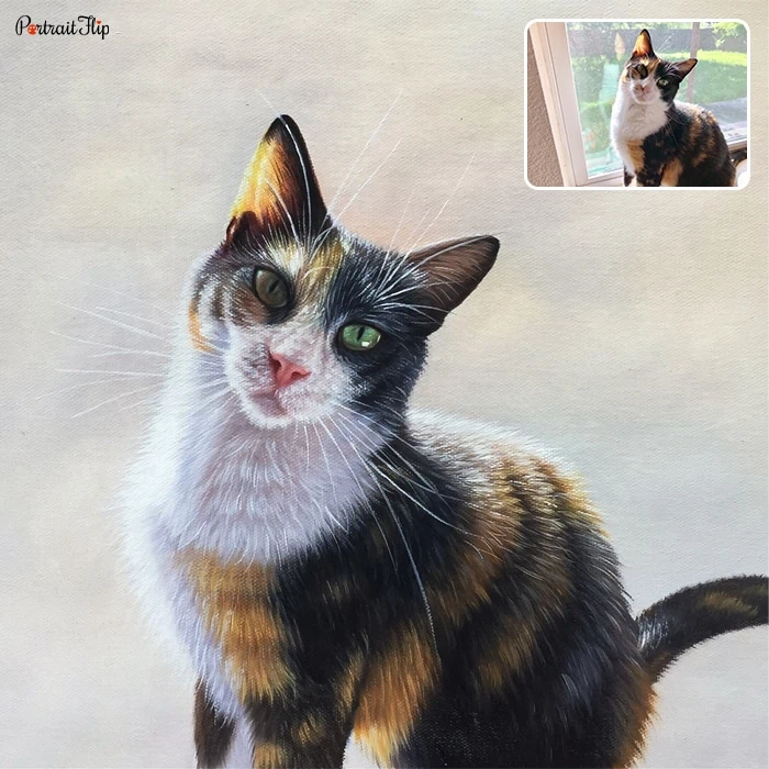Photo to Custom Cat Portraits: Cat Paintings by PortraitFlip