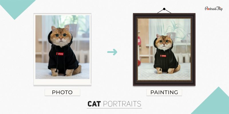 Custom Cat Portraits From Photo | Cat Paintings Painted By Artists