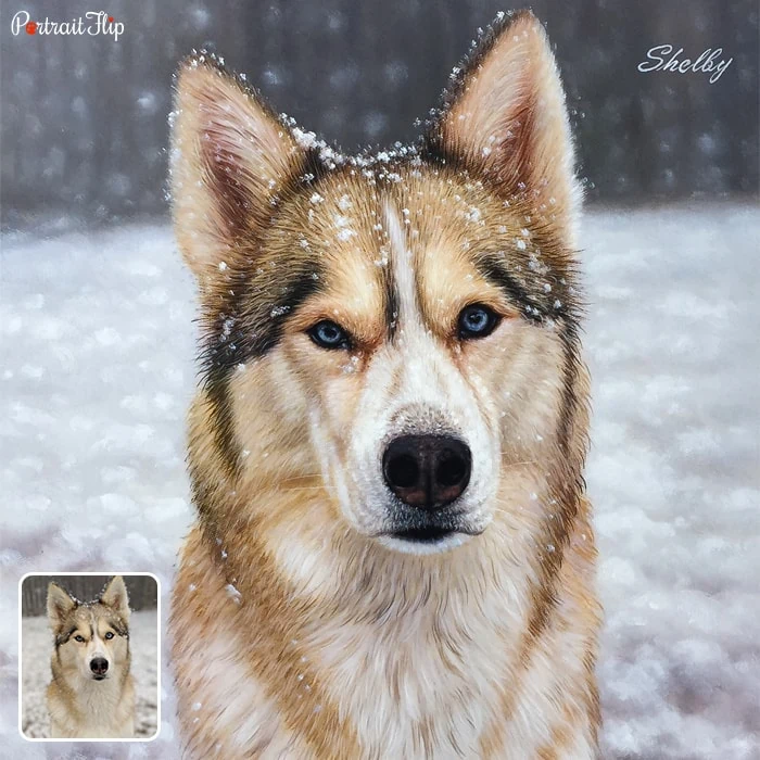 Get Customized Dog Portrait: Your Dog On Canvas