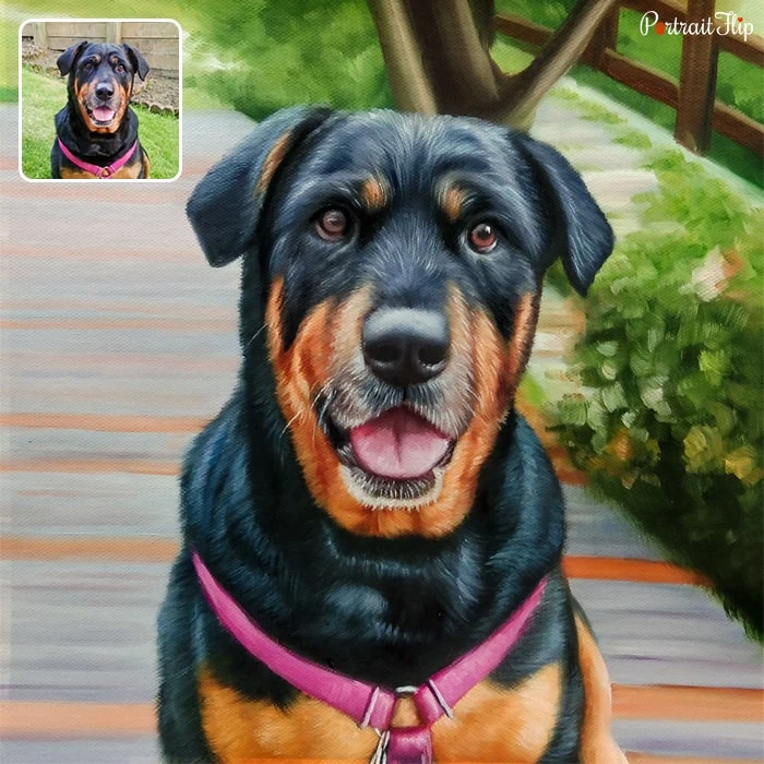 Get Customized Dog Portrait: Your Dog On Canvas