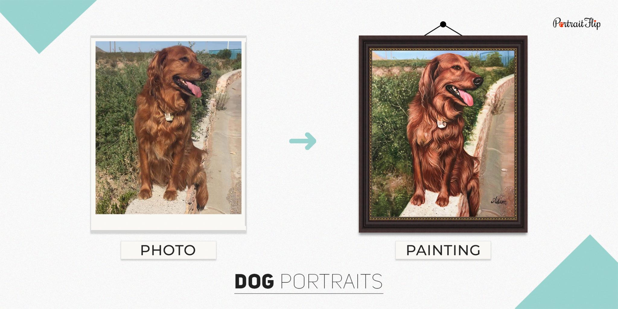 Custom Dog Portraits From Photo | Hand-Painted by Real Artists