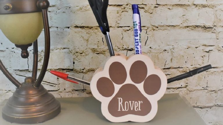 14 Veterinary Office Decor Ideas: Build A Great Work Environment!