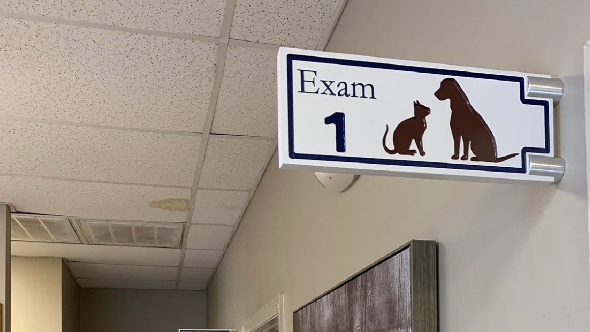 14 Veterinary Office Decor Ideas: Build A Great Work Environment!