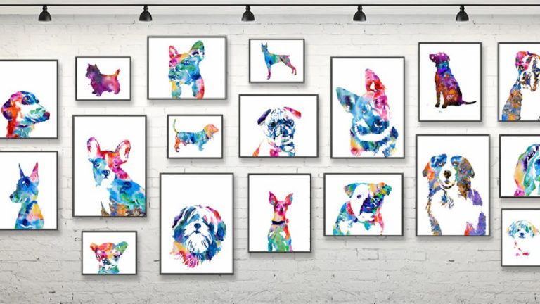 14 Veterinary Office Decor Ideas: Build A Great Work Environment!