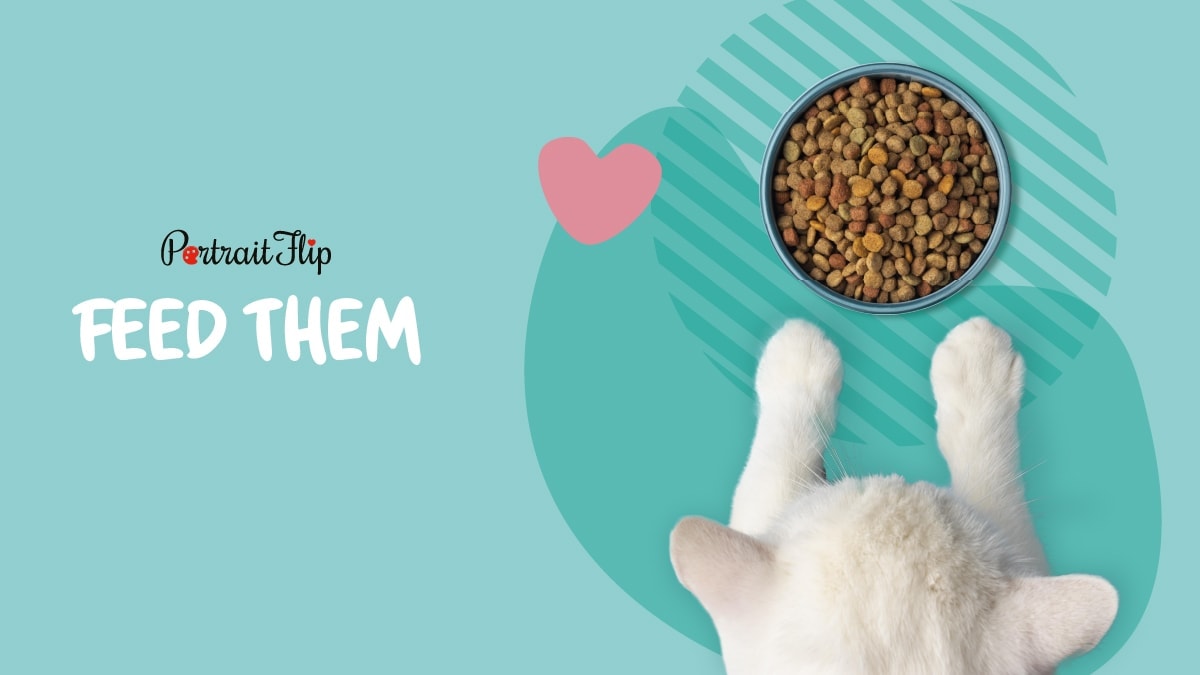 Loving Your Pet The Way They Deserve To Be | PortraitFlip