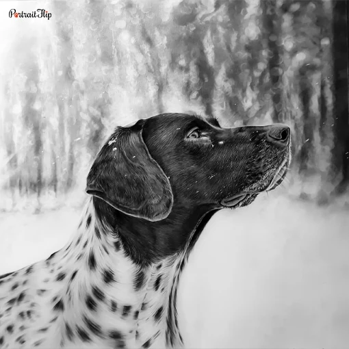 Custom Pet Portraits From Photos: 100% Handmade Painting