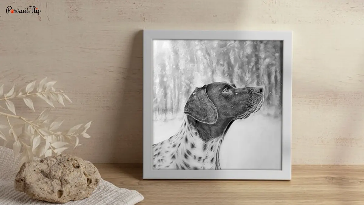 PortraitFlip vs. Purr and Mutt: What are Pros and Cons of Them?