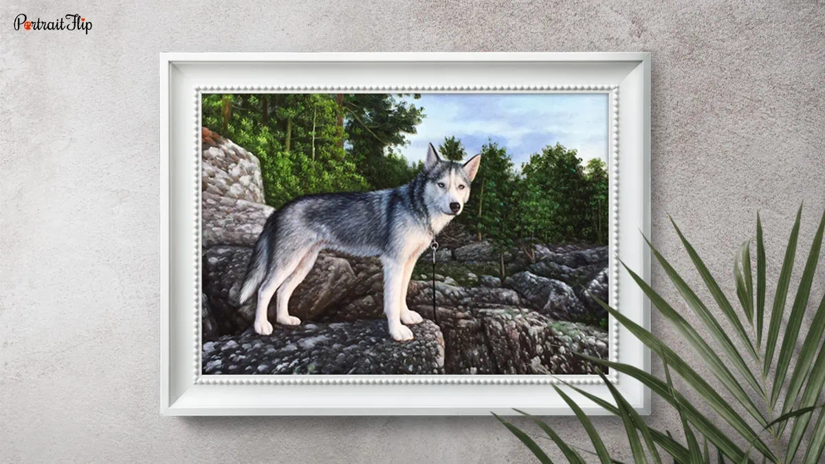 PortraitFlip vs. Purr and Mutt: What are Pros and Cons of Them?