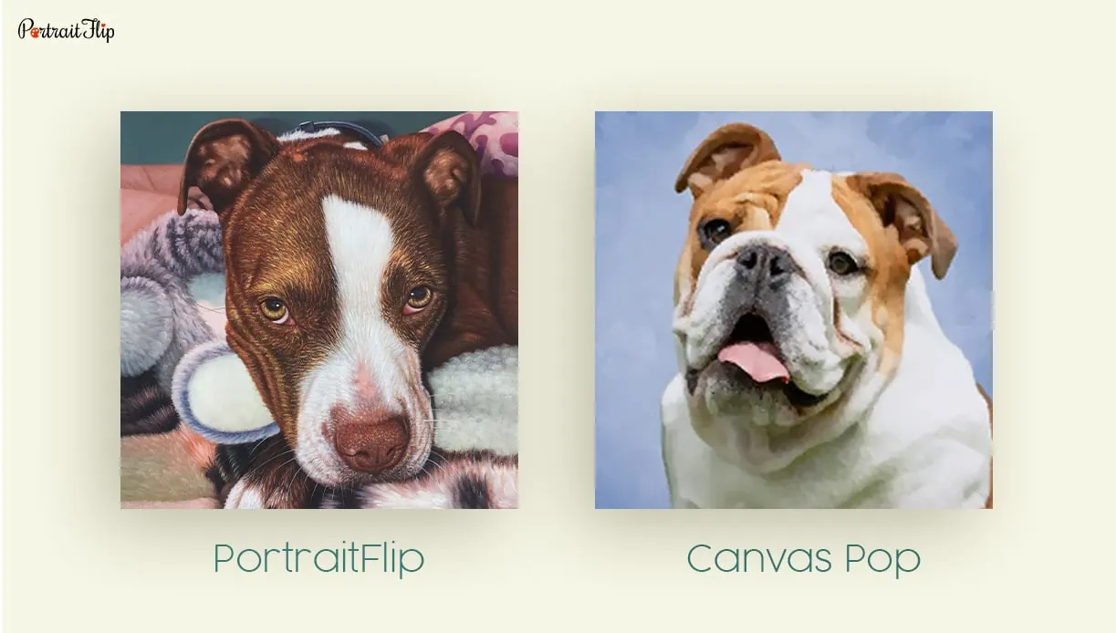 A Talk Over PortraitFlip vs. Canvas Pop: Who Is The Best?