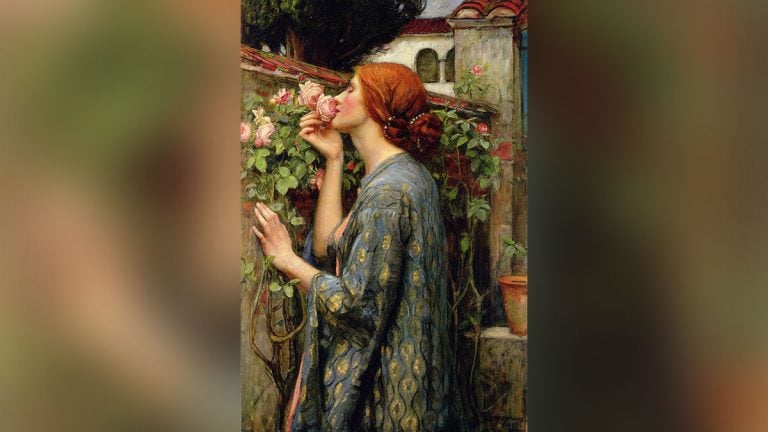 Study of Waterhouse’s The Soul of the Rose Art (My Sweet Rose)