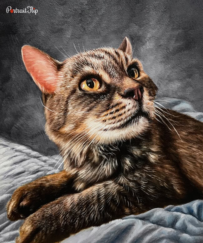 Custom Cat Portraits from your Photos | PortraitFlip
