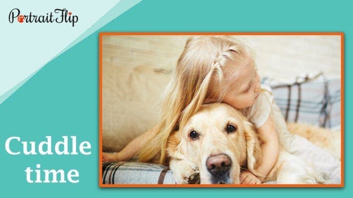 15 Great Ways To Show Your Pet Some Love | PortraitFlip