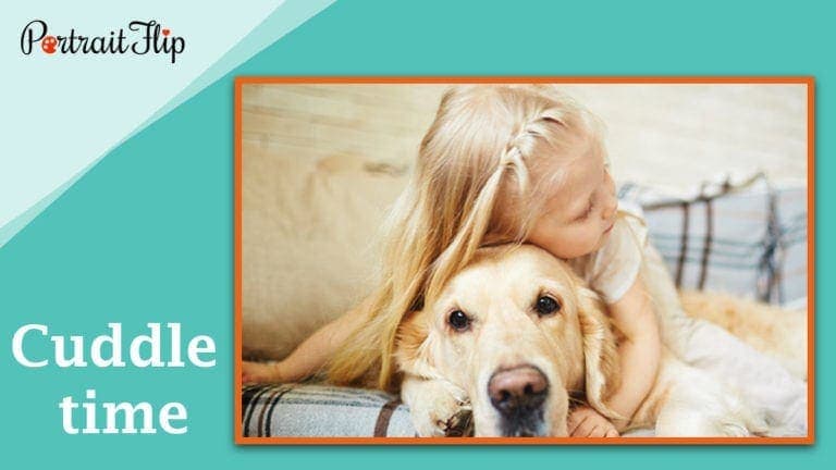 15 Great Ways To Show Your Pet Some Love | PortraitFlip
