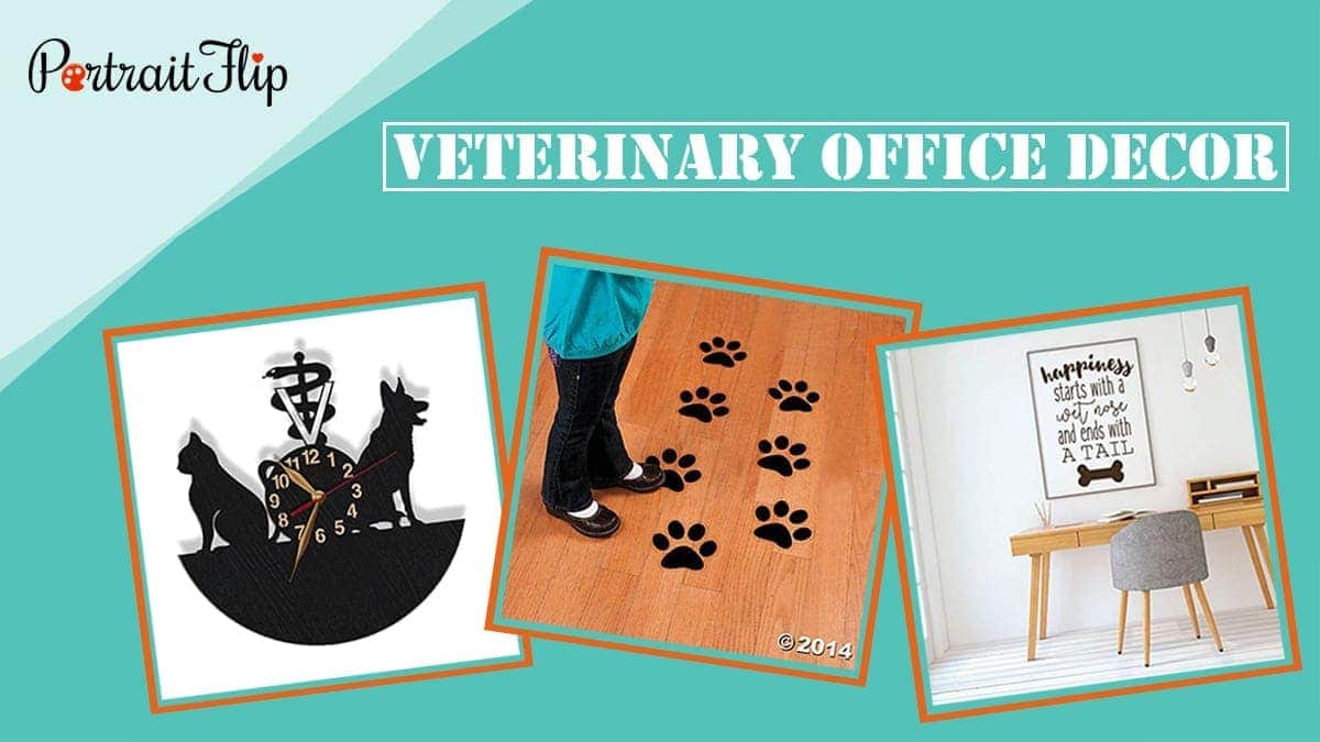 Veterinary Office Décor (For Pet & People) | PortraitFlip